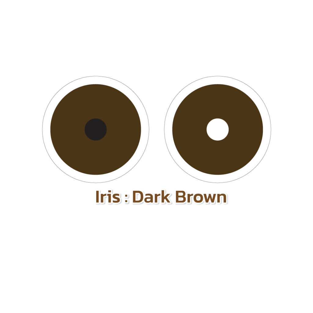 Maxim Colors Air (Iris Lens) – Maxim Inter Corporation Ltd.